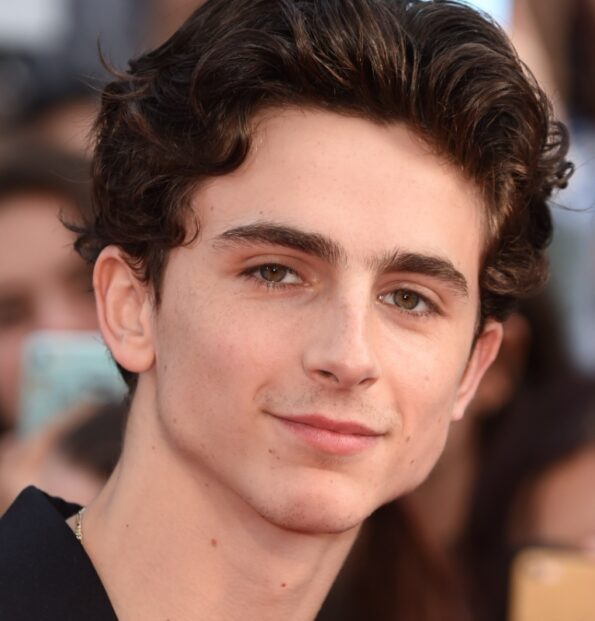 Hollywood Spotlight: Timothée Chalamet ⋆ Beverly Hills Magazine